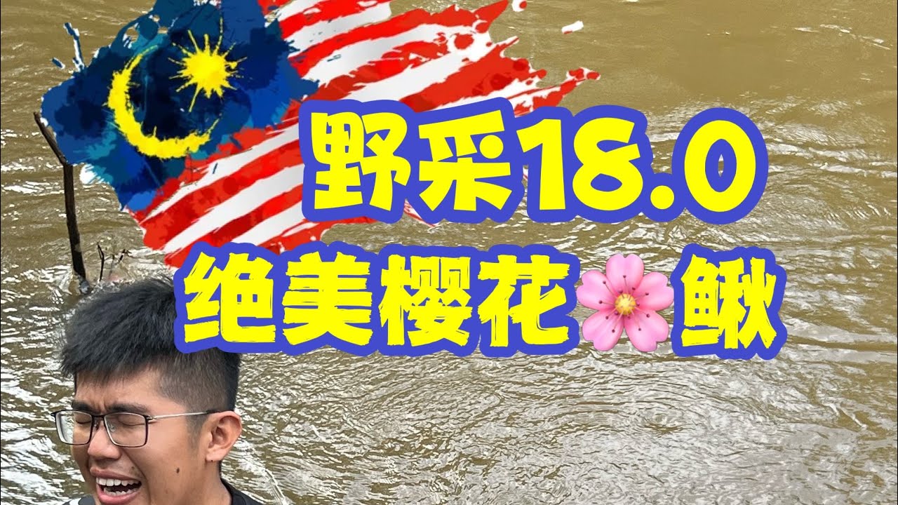 Wild Catch 18.0 绝美樱花鳅 - YouTube