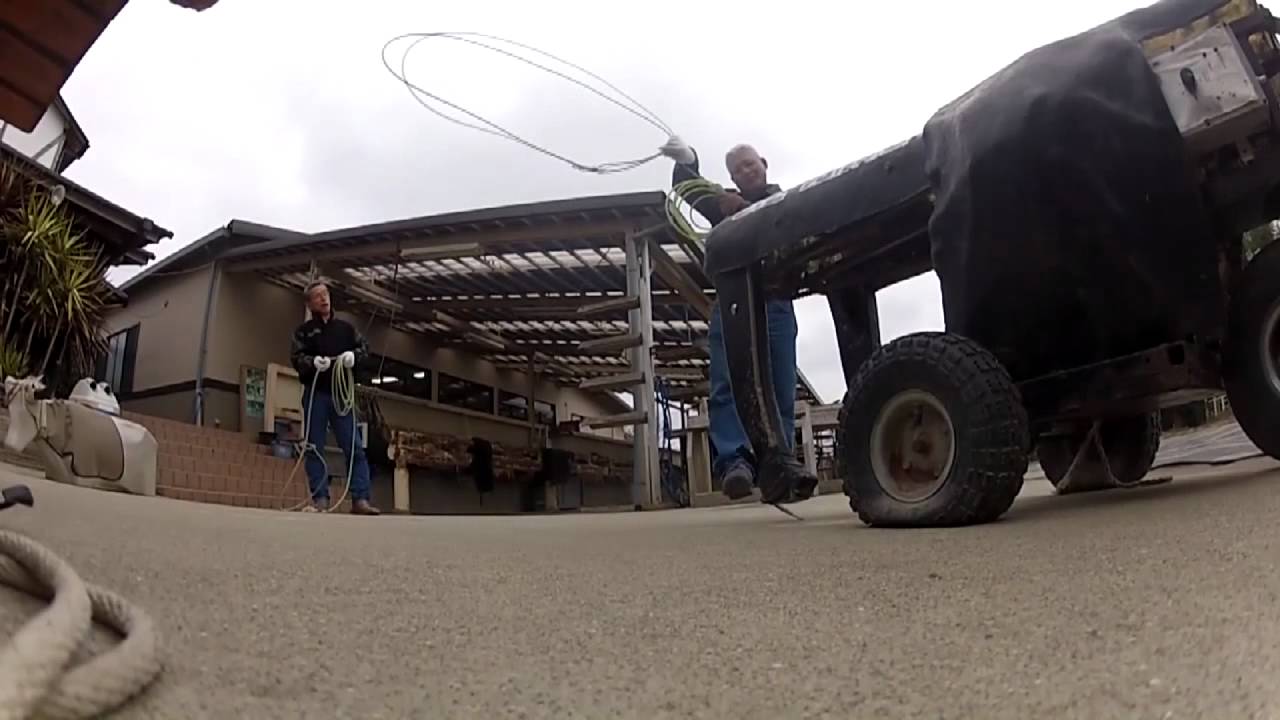 Team Roping Heeling slow motion - YouTube