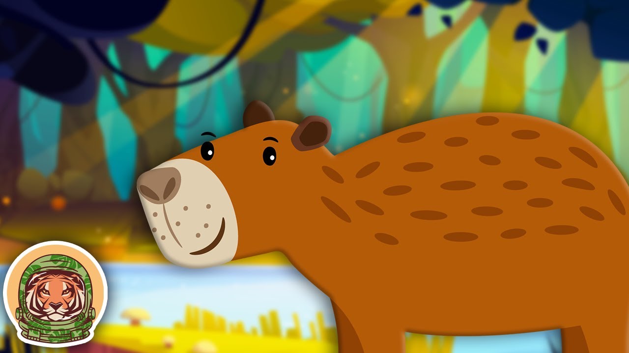 Meet The Capybara! | Animal Songs For Kids | KLT WILD - YouTube
