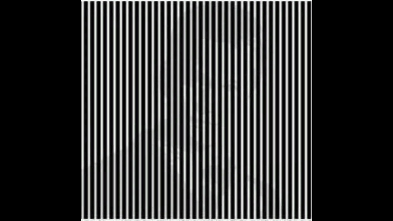 shake your head /amazing optical illusion that will blow your mind in ...