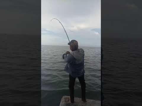 Toge mancing