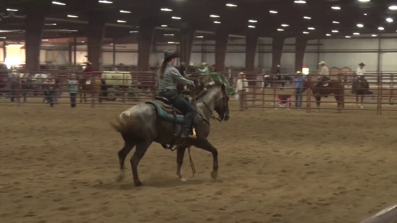 200605 Ranch Open Desiree Dean on WS Freckles Seven - YouTube