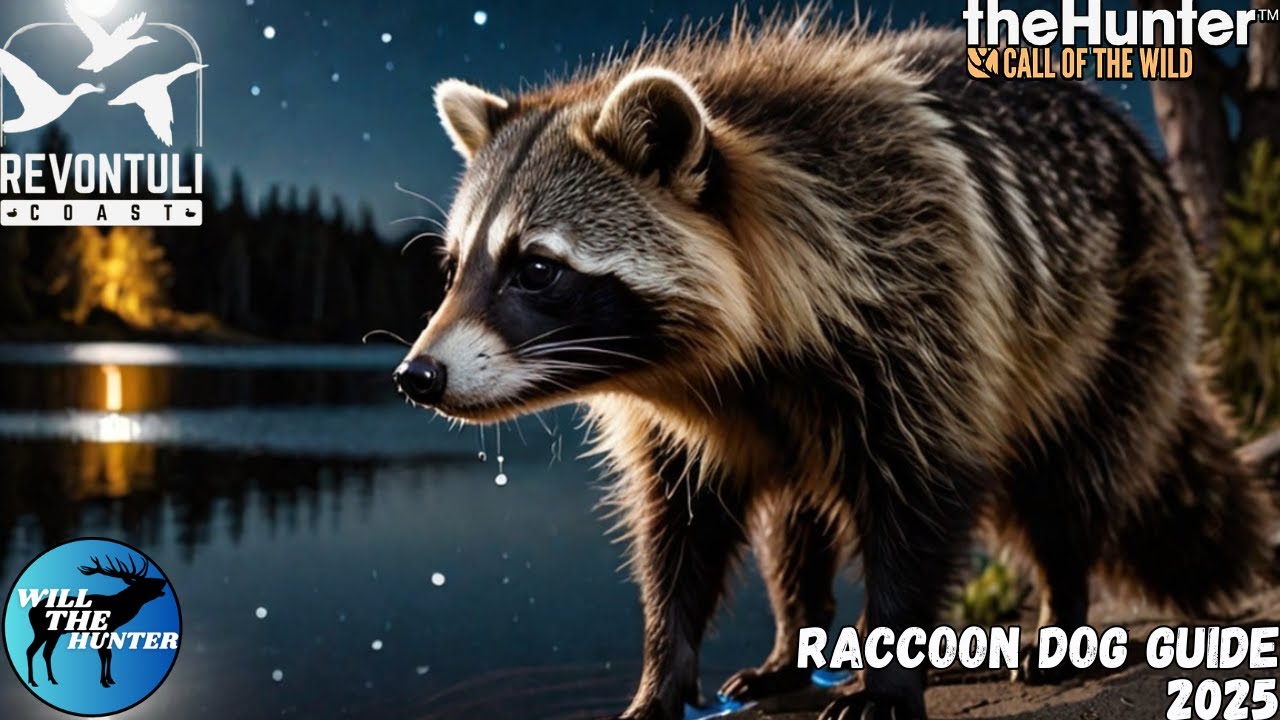 Revontuli Coast Raccoon Dog Guide, Where To FInd Zones + More ...