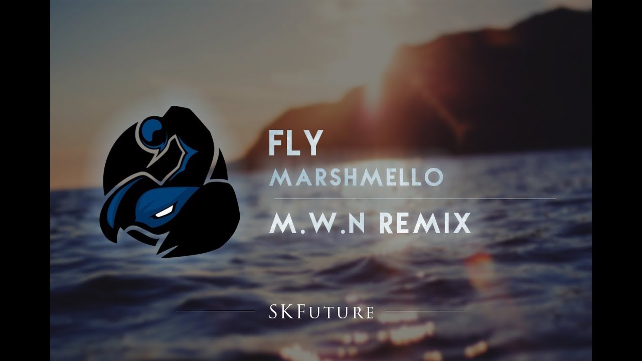 Marshmello - Fly (M.W.N Remix) - YouTube