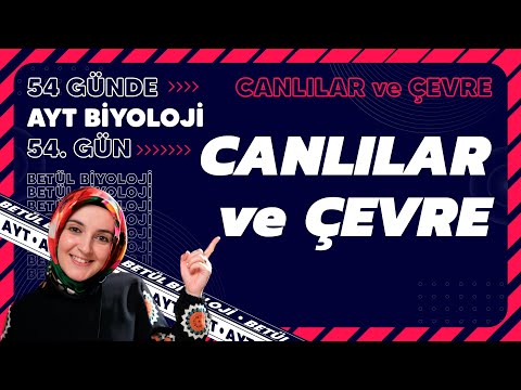54) Canlılar ve Çevre | 12. Sınıf Biyoloji | 2024 AYT Biyoloji 54. Gün