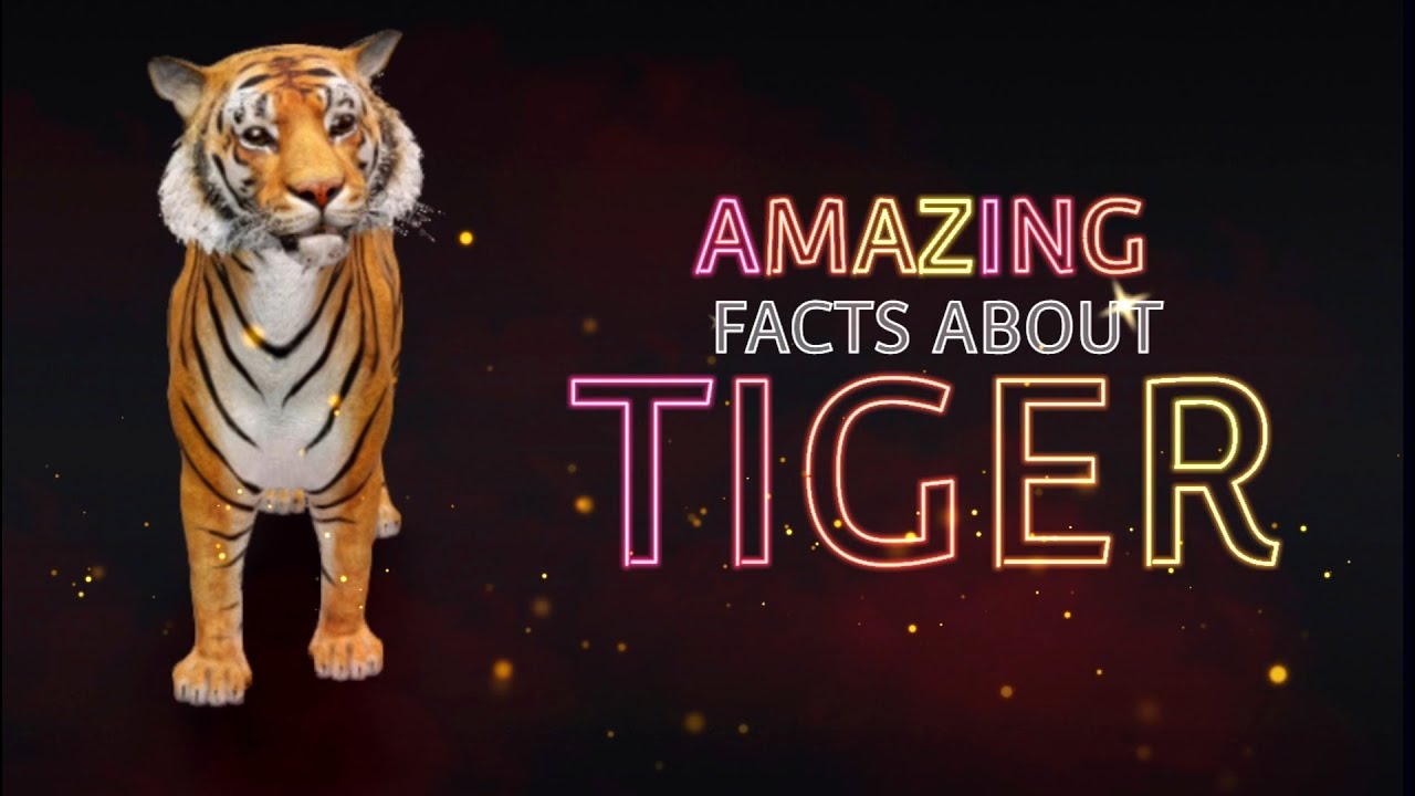 LEARN ABOUT TIGER AMAZING TIGER FACTS FOR KIDS - YouTube