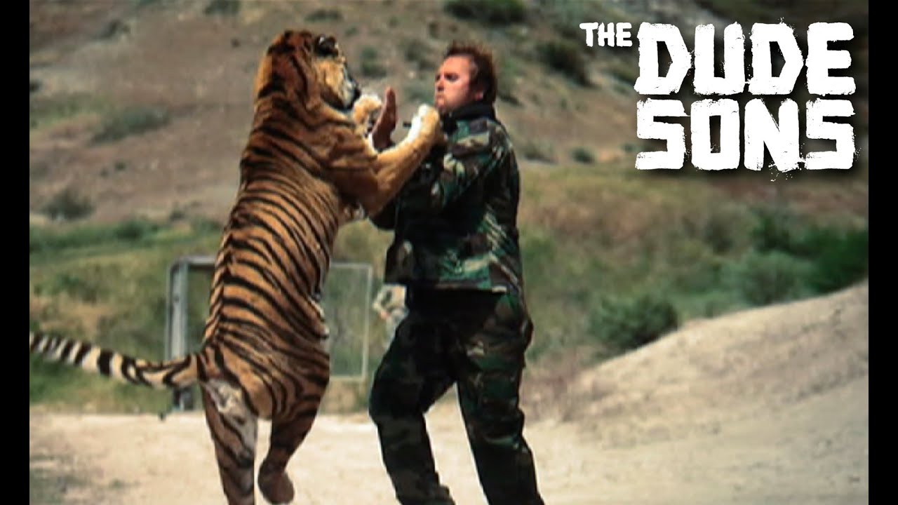 Man Vs. Tiger Boxing Match! - YouTube