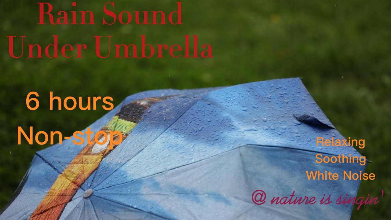 Rain Sound under Umbrella 6 Hours - Stress Relief, Relaxing Sound ...