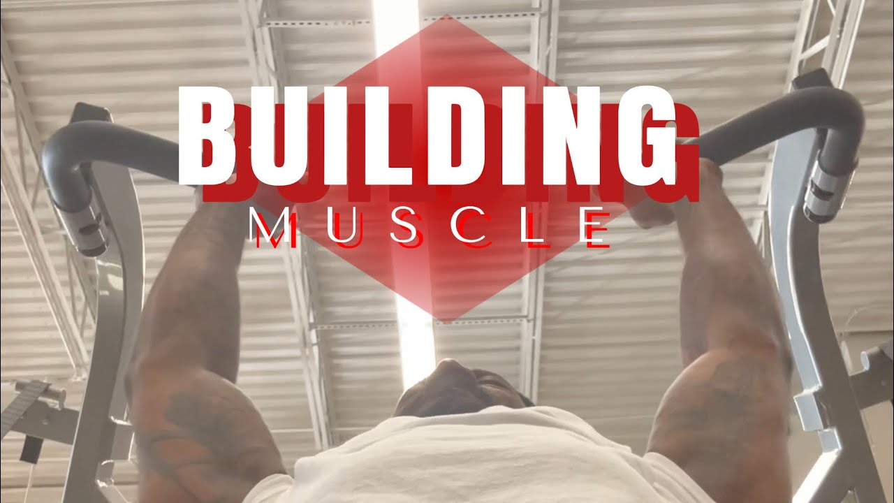 How to Build Quality Muscle | Part ll - YouTube