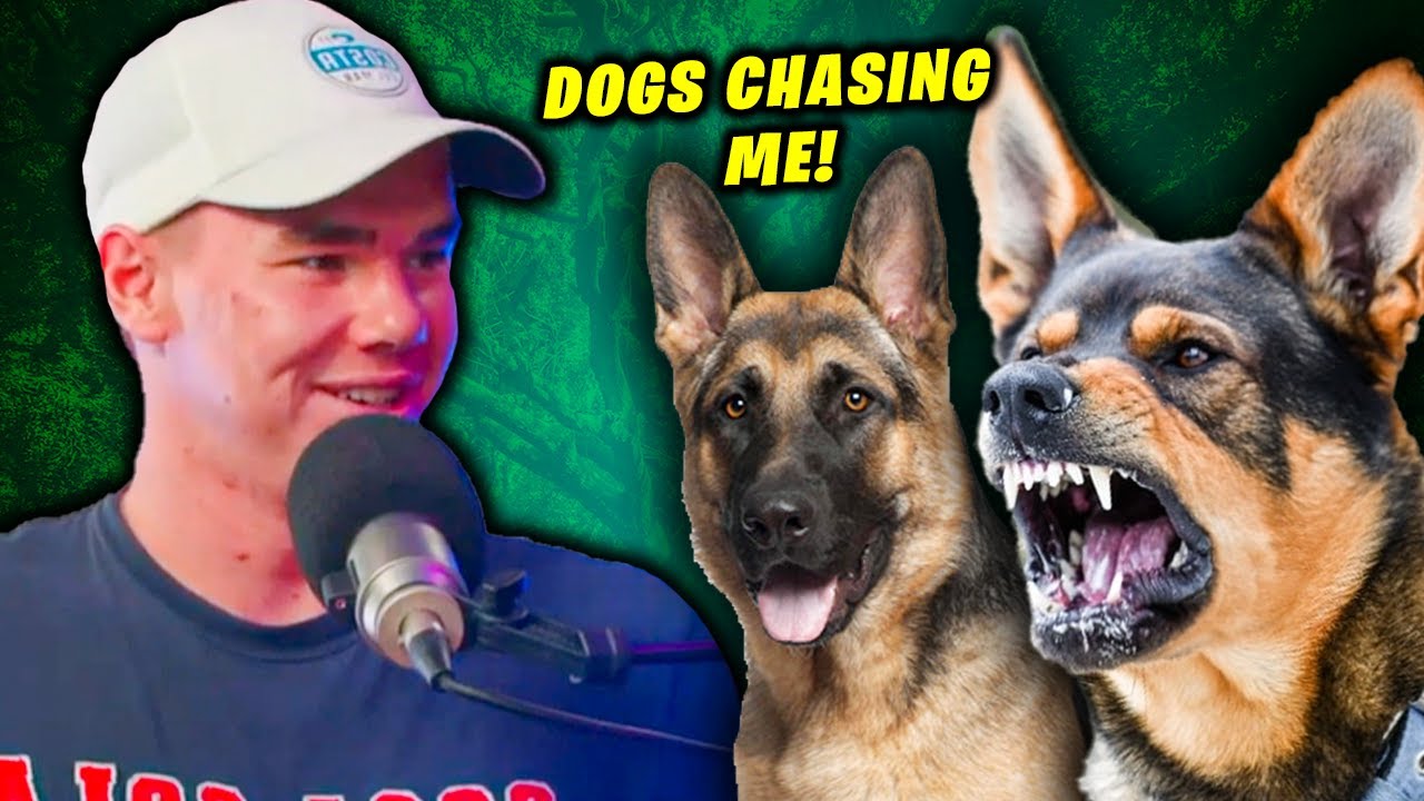 Braxton's Run-In With Wild Dogs - YouTube