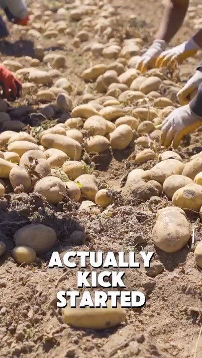 How the Potato Changed Human History Forever - YouTube