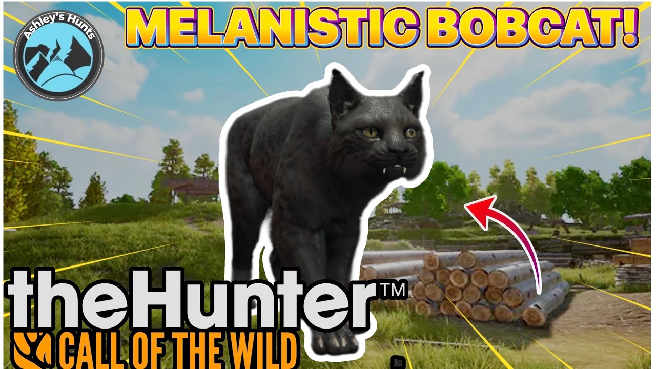 DIAMONDS AND RARES! MELANISTIC BOBCAT!- The Hunter call of the Wild ...