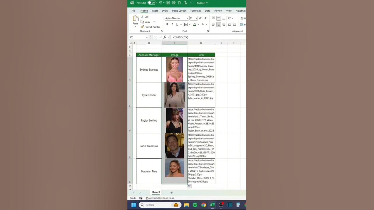 How To Learn Excel ll Advance Excel ll Insert Images From Website l Auto Image #Excel # ...