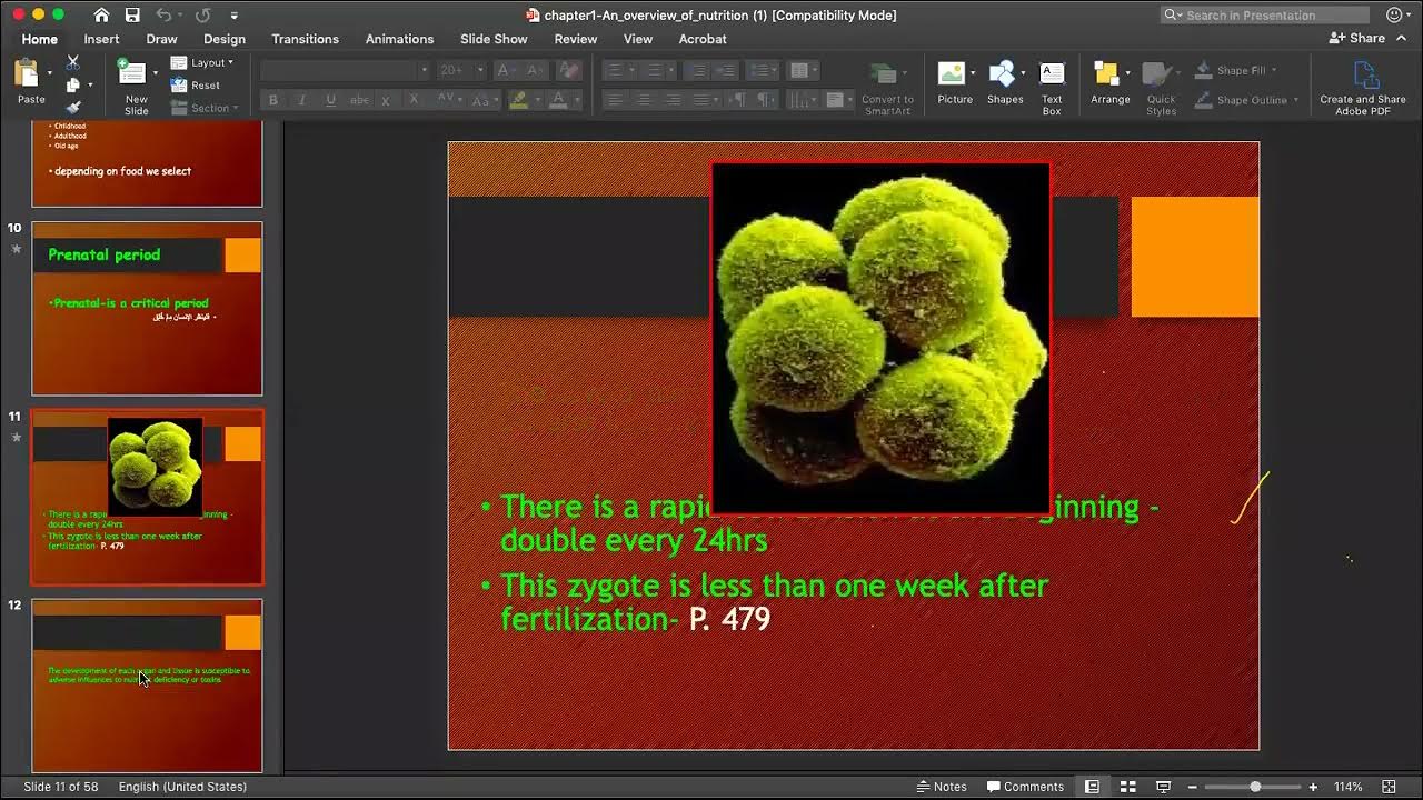 Lecture 1 Introduction Youtube