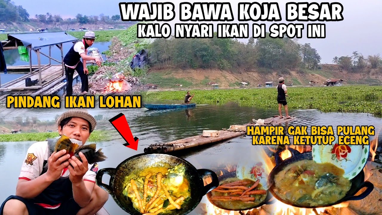 DIJAMIN PANEN IKAN‼️DAPAT IKAN GABUS TOMAN !? | camp fishing and ...