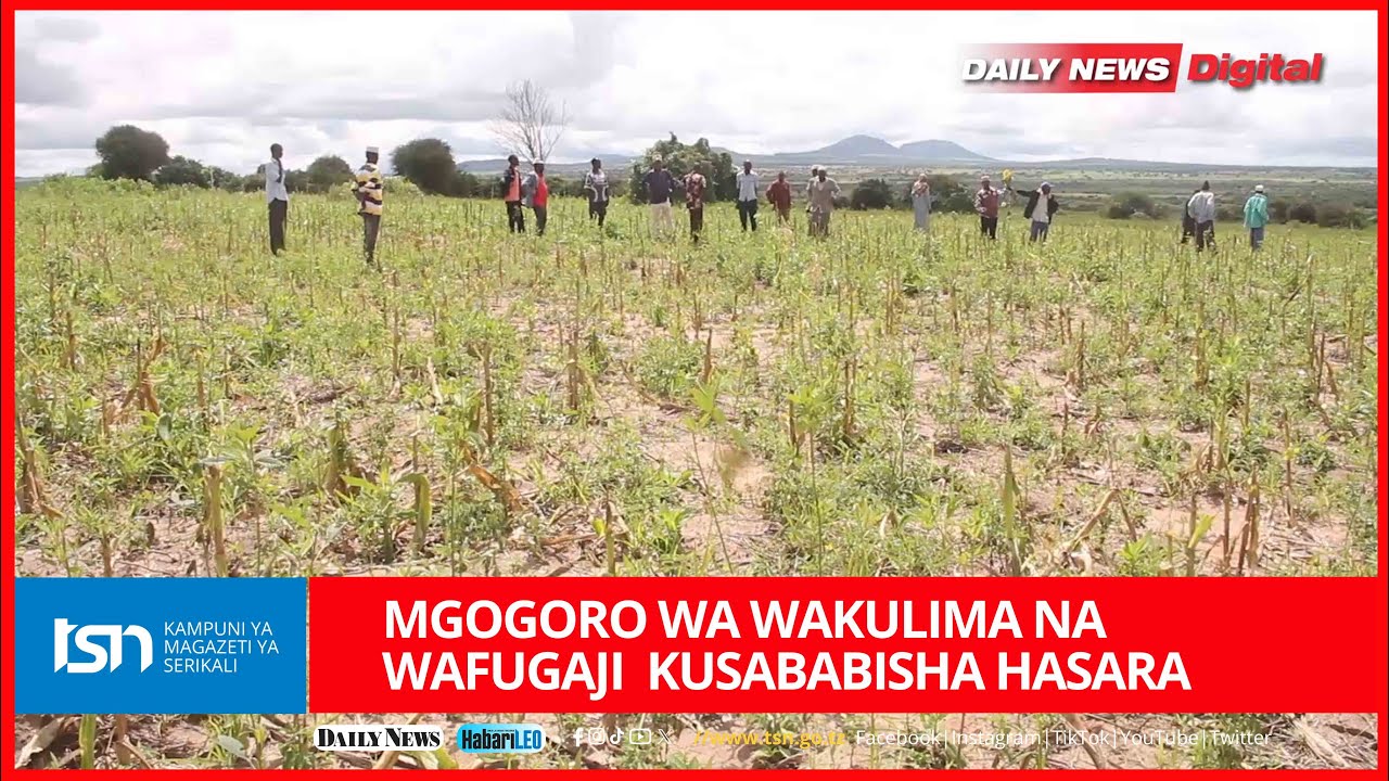 MGOGORO WA WAKULIMA NA WAFUGAJI KUSABABISHA HASARA HII - YouTube