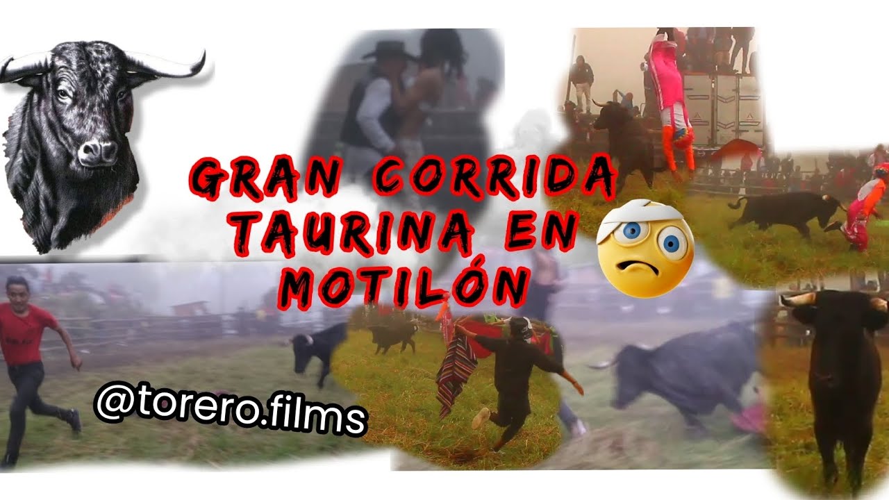 Toros De Pueblo En La Comunidad De Motilón De La《Parroquia General ...