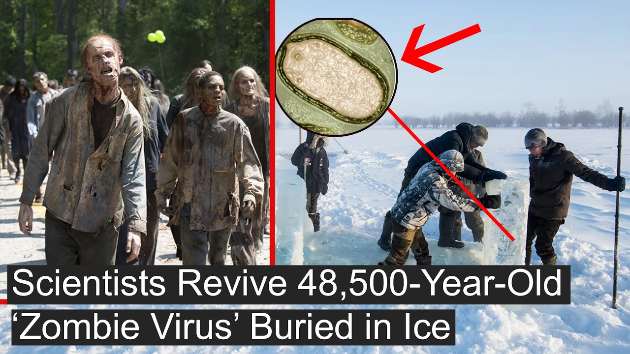 Scientists Revive 48,500 Year Old ‘Zombie Virus’ Buried in Ice - YouTube