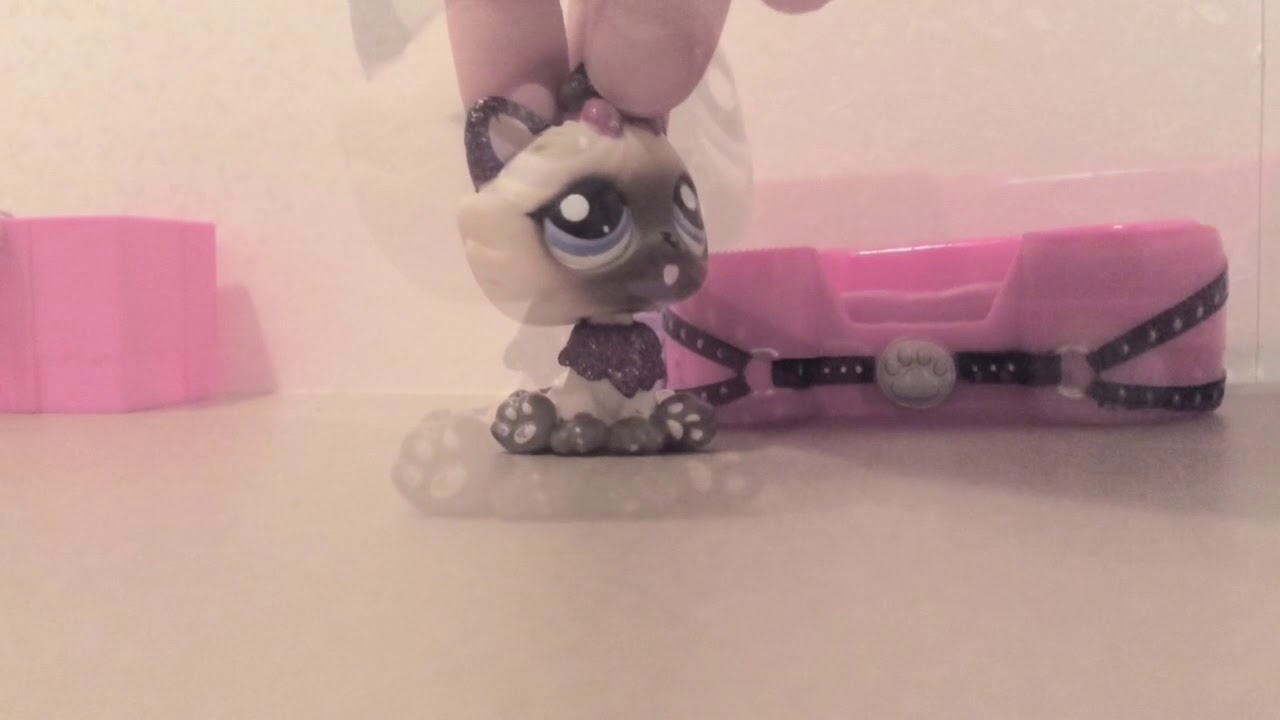 LPS -Can You Hear the Echo - MV - YouTube