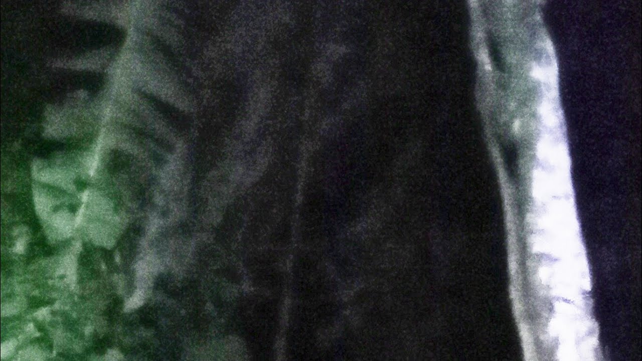 part 2 exsplor pohon angker ada penunggu sosok mahluk halus - YouTube