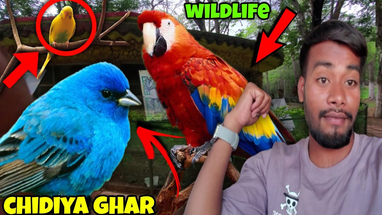 chhattisgarh ka wildlife animal zoo Bilaspur chidiya ghar 👈🏻 ...