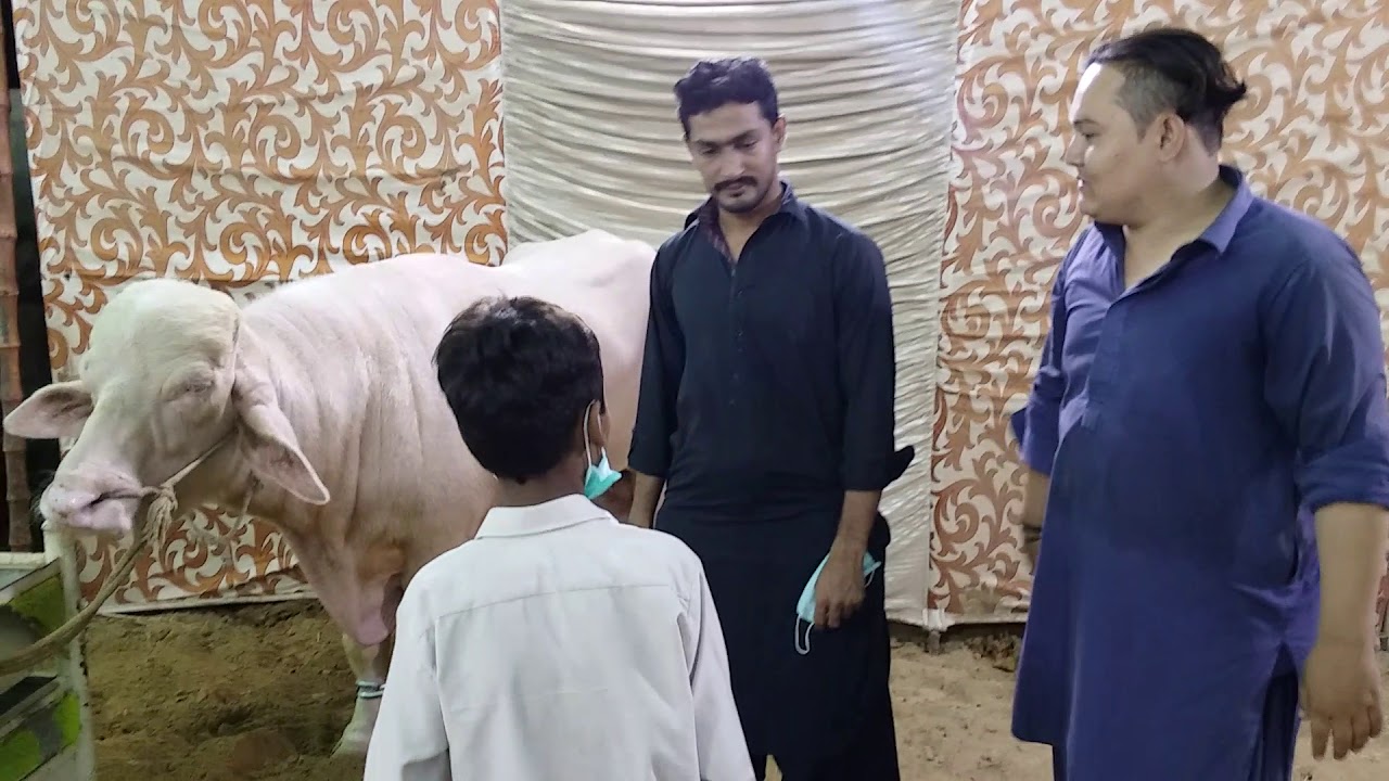 Qasim Ali Jalali - YouTube