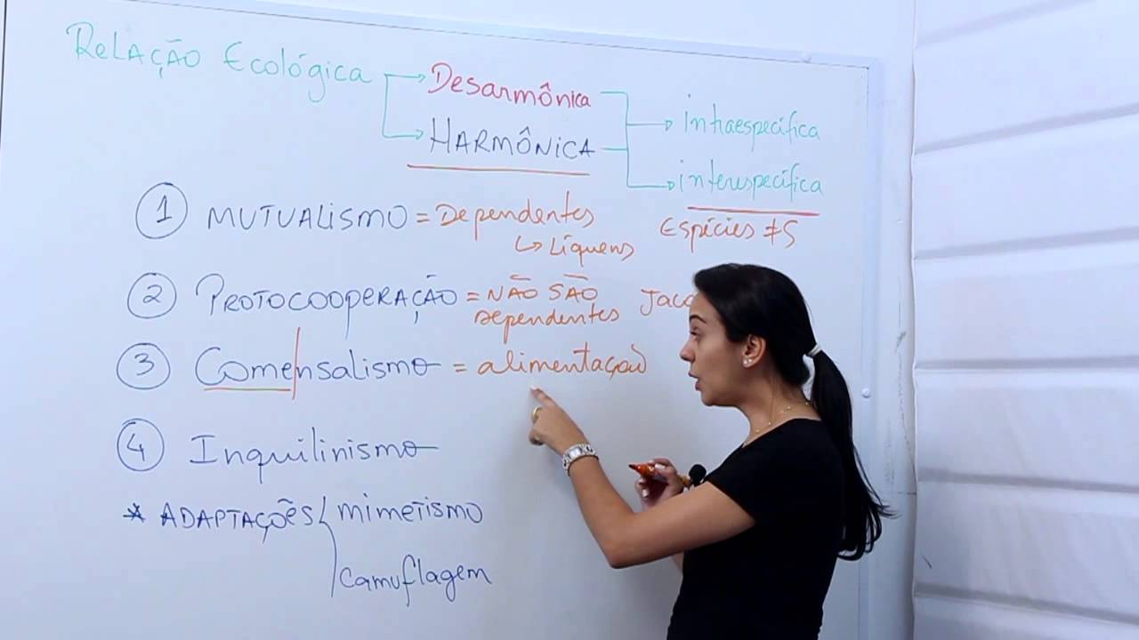 Relações ecológicas harmônicas interespecíficas mutualismo ...