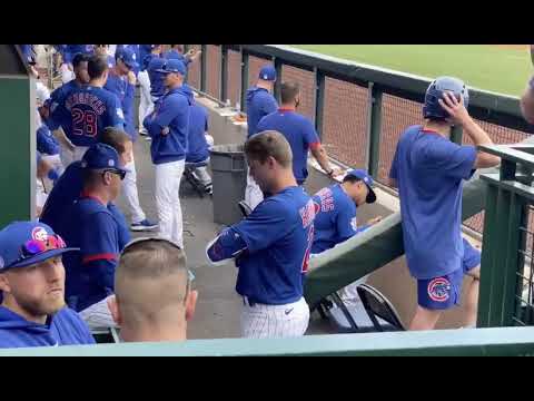 Cubs talking in the dugout against the Anaheim Angels - Chicago Cubs ...