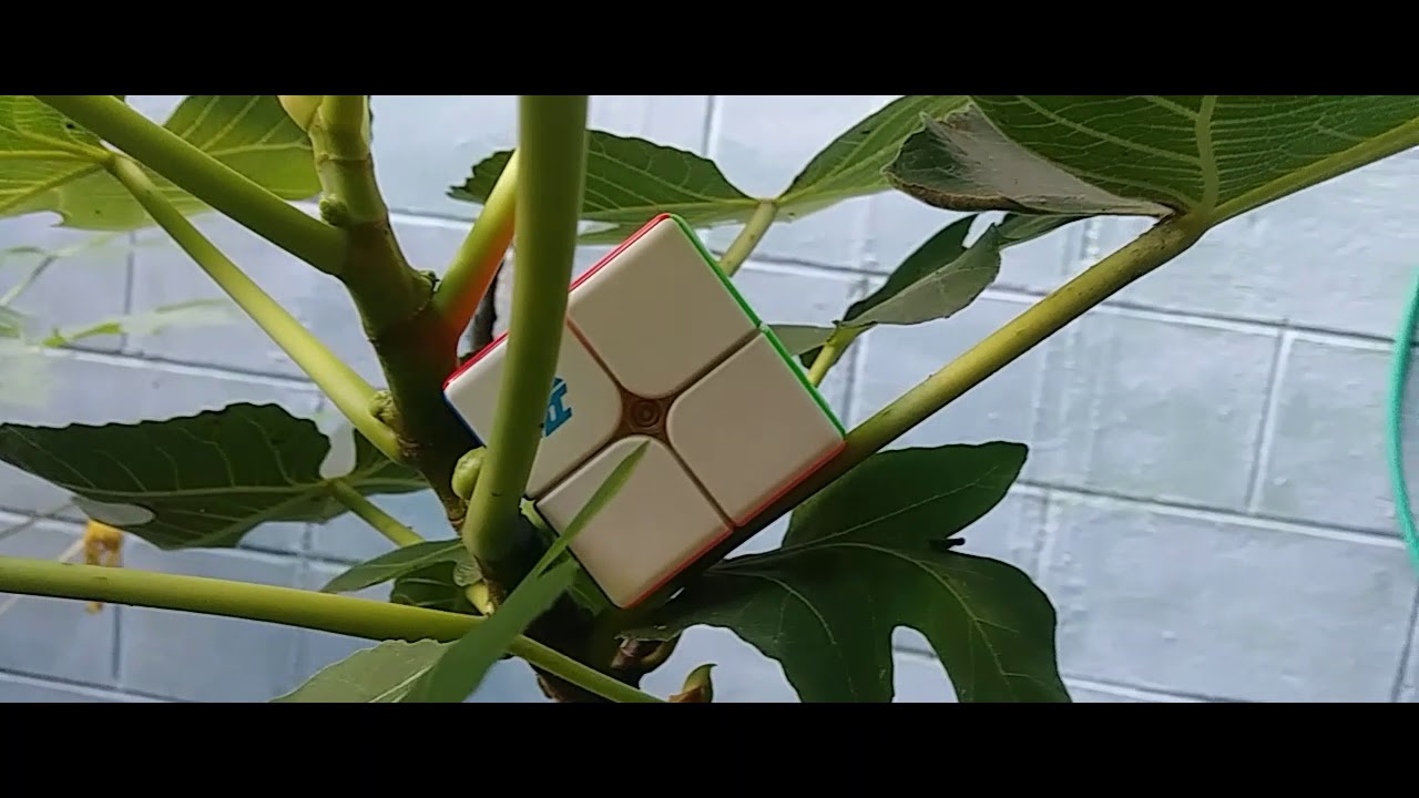 GAN_(2×2) - YouTube