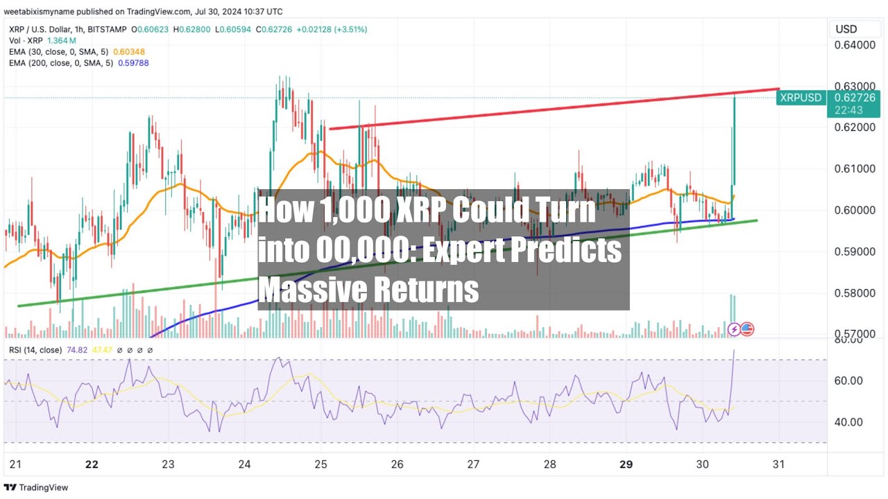 How 1,000 XRP Could Turn into $100,000: Expert Predicts Massive - YouTube