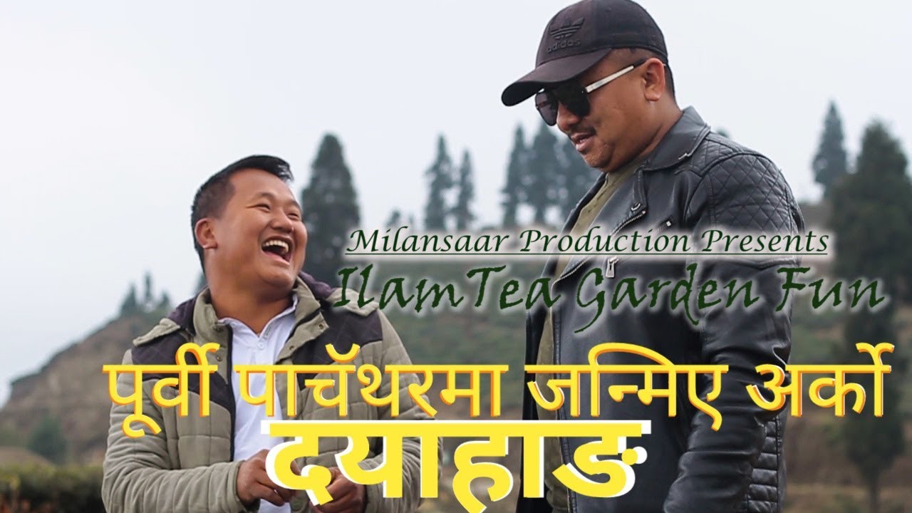 ILAM TEA GARDEN ||DAYAHANG RAI || GIC PANCHTHAR|| FUN - YouTube