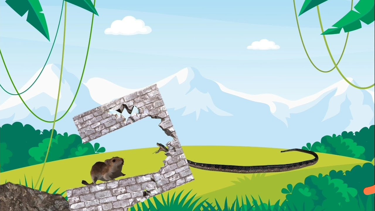 Snake Fight with Rat | My first animation video | Animation video made ...