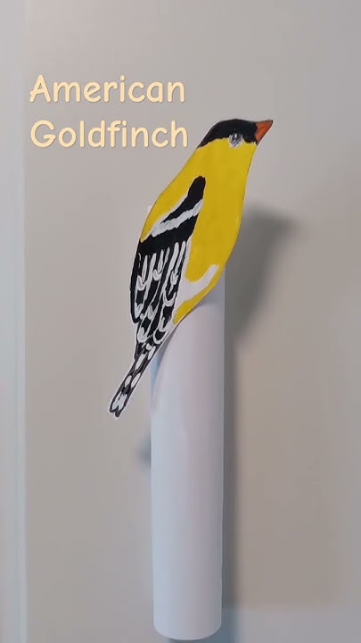 Goldfinch craft #drawing #birds - YouTube