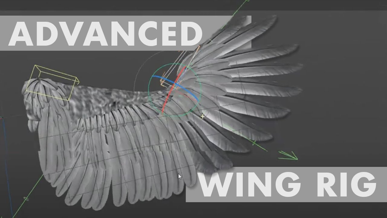 Advanced Wing Rig - YouTube