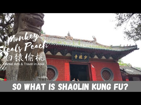 What Actually is Shaolin Kung Fu