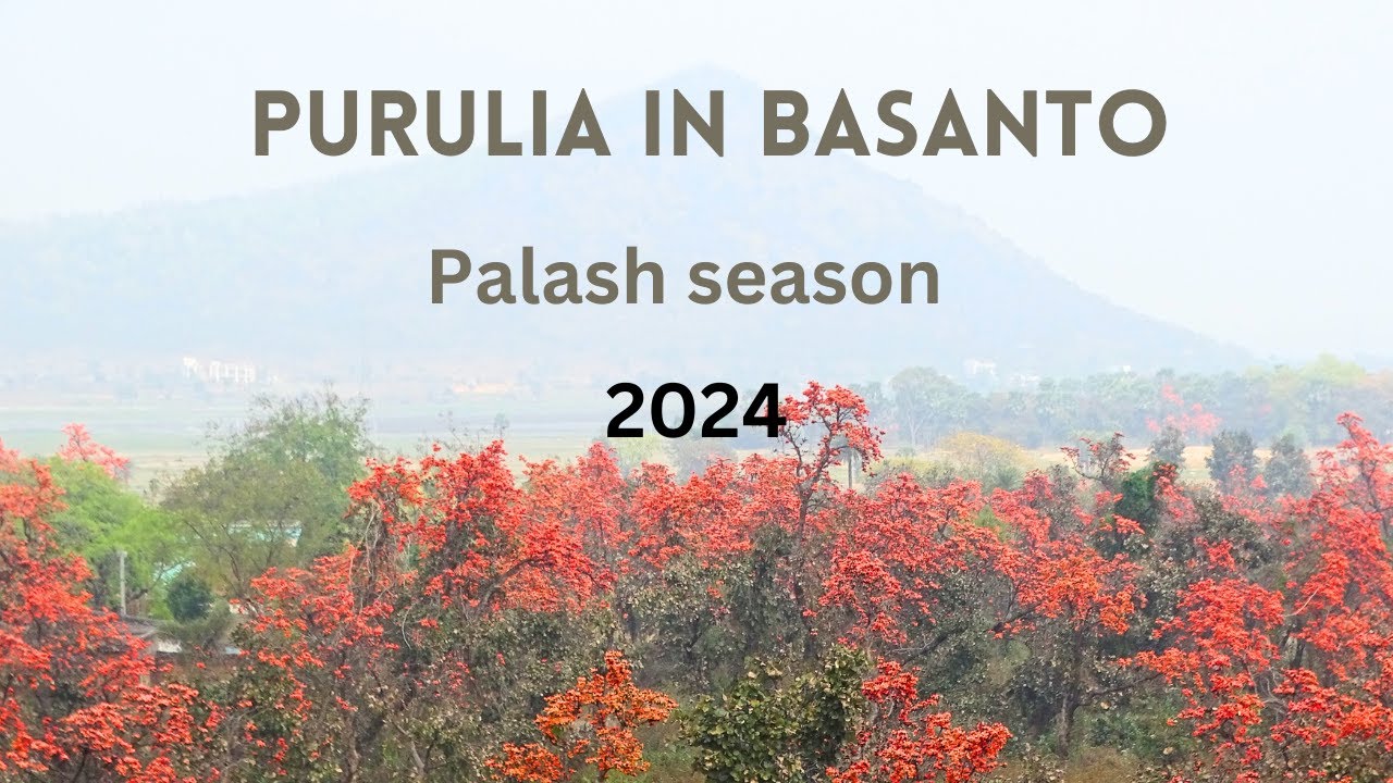 Purulia in Basanto 2024 II Palash ful II Agun PuruliaII Tourplan ...
