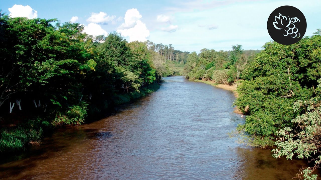 A travessia / Pr Marcio Alves / Videira Florida - YouTube