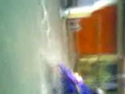 warnet kebanjiran cos'D net