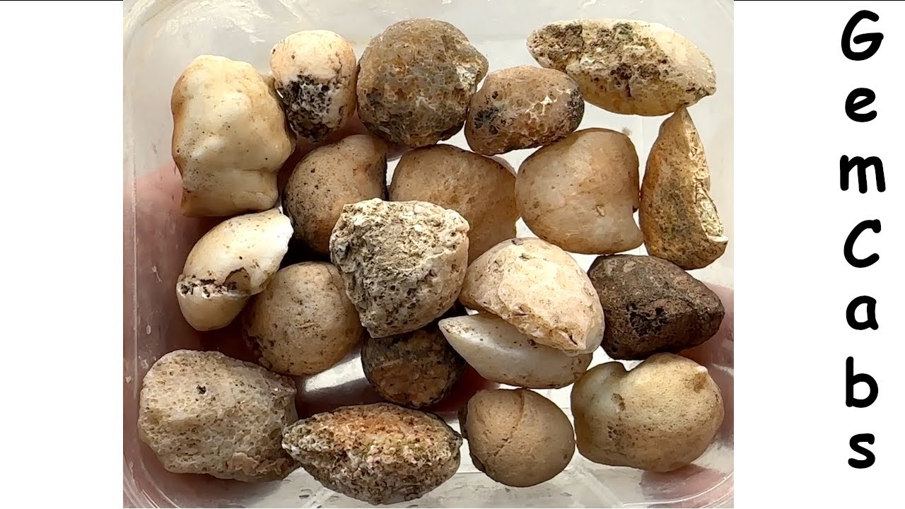 Group of Arizona Gila Bend Mountain Agates Cut Open to Reveal the ...