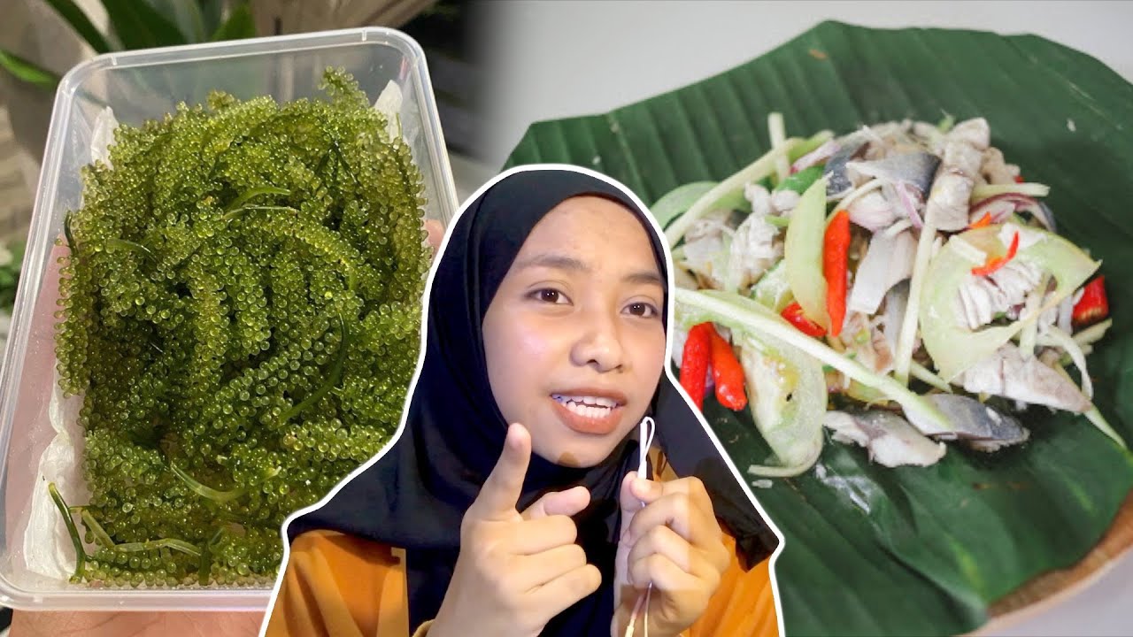 4 Makanan Unik Suku Bajau - YouTube