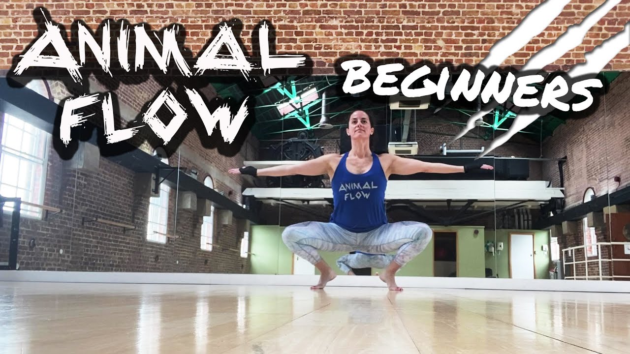 Animal Flow beginners Level 1 | Get fit and have animal moves fun - YouTube