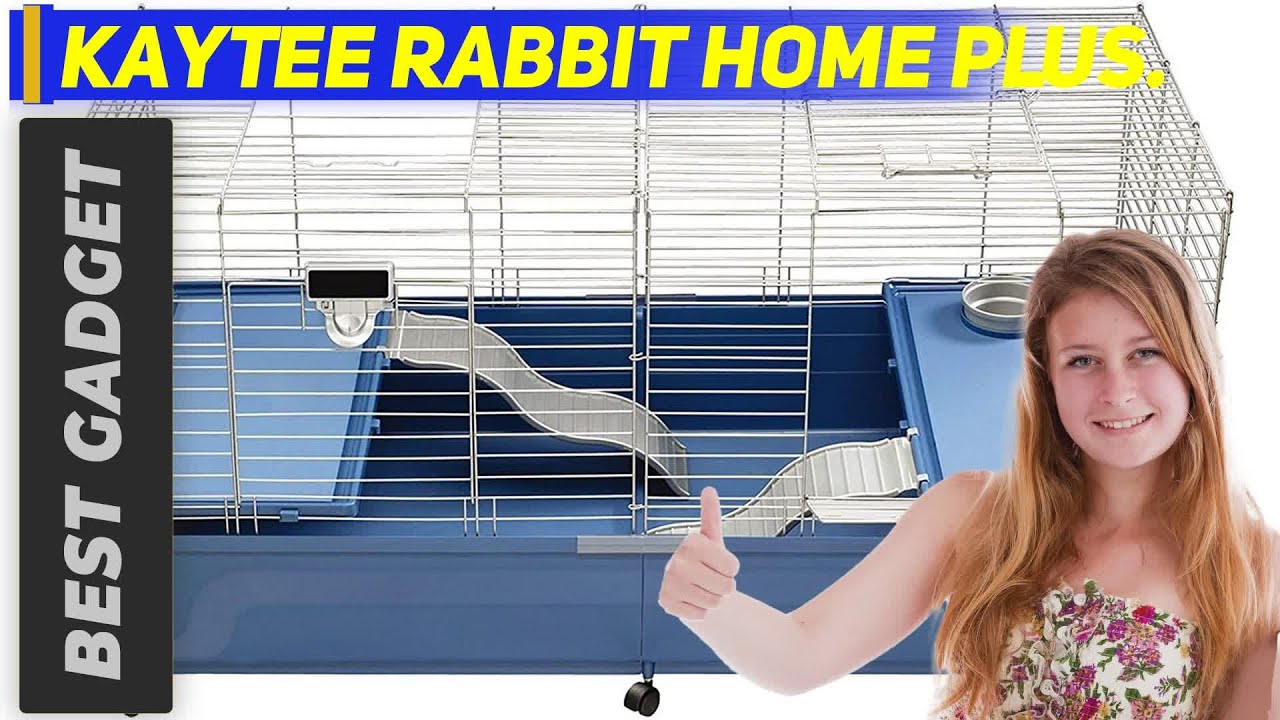 Best Guinea Pig Cages 2022 - Kaytee Rabbit Home Plus - YouTube