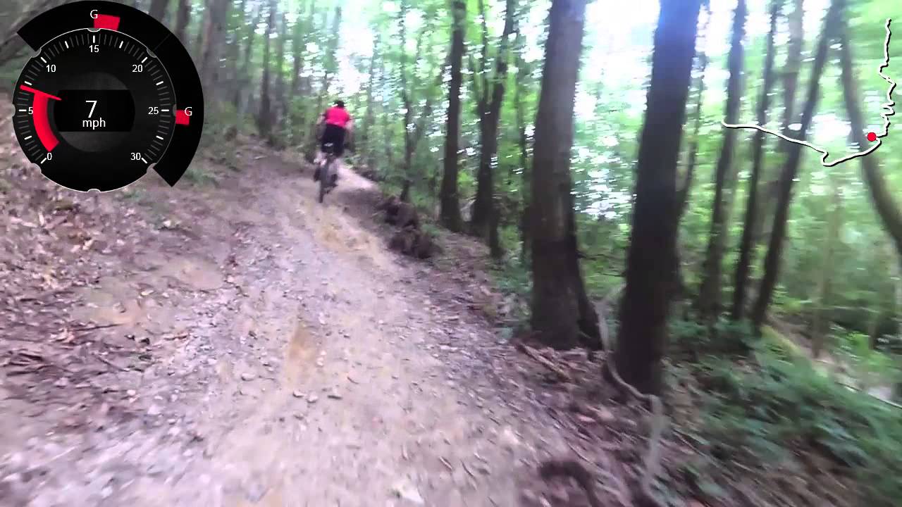 Bedgebury Red Run Ride 3 Jurrasic & Wandas Trail - YouTube
