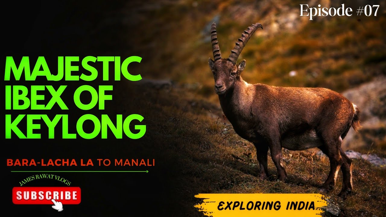 𝗕𝗮𝗿𝗮𝗹𝗮𝗰𝗵𝗮 𝗟𝗮 𝗣𝗮𝘀𝘀 𝘁𝗼 𝗠𝗮𝗻𝗮𝗹𝗶 | 𝗘𝗽. 𝟬𝟳 | 𝗝𝗶𝘀𝗽𝗮 | 𝗞𝗲𝘆𝗹𝗼𝗻𝗴 | 𝗦𝘂𝗿𝗮𝗷 𝗧𝗮𝗮𝗹 ...