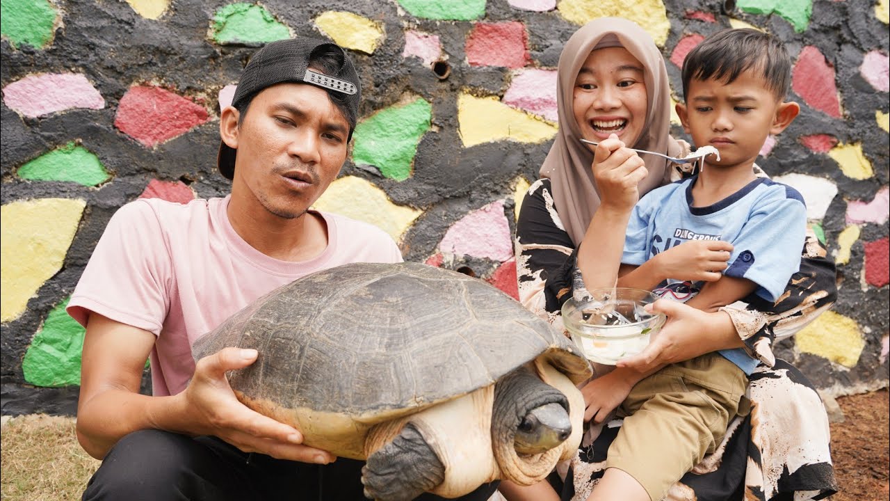 ALI MAKAN SAMBIL LIHAT KURA KURA BESAR KOTOR MAU DI BERSIHIN 🐢 | Ali vlog - YouTube