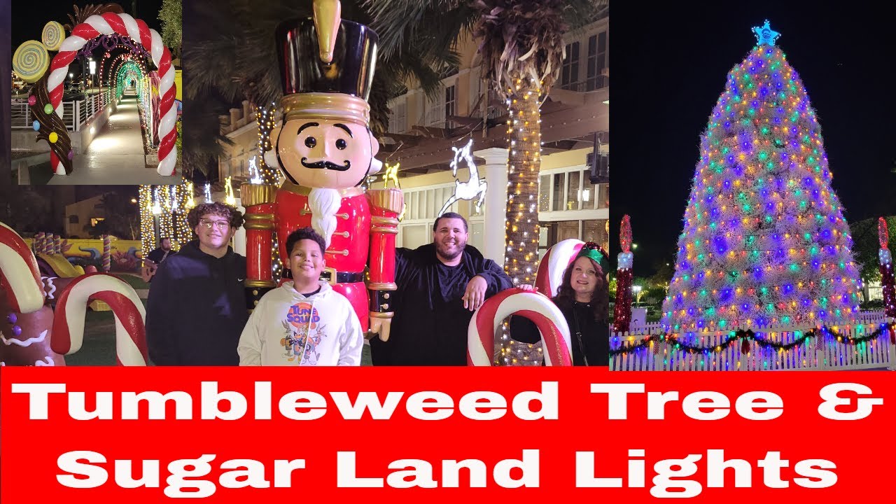 Discover Arizona - Tumbleweed Christmas Tree - Sugar Land Light ...