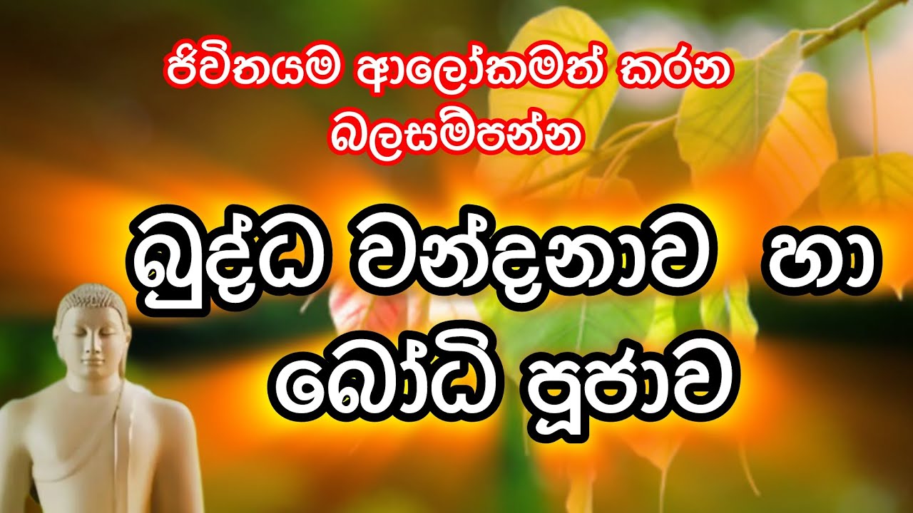 ආශිර්වාදාත්මක බෝධි පූජාව #bodhipuja #sethpirith #buduguna #බෝධිපූජාව ...