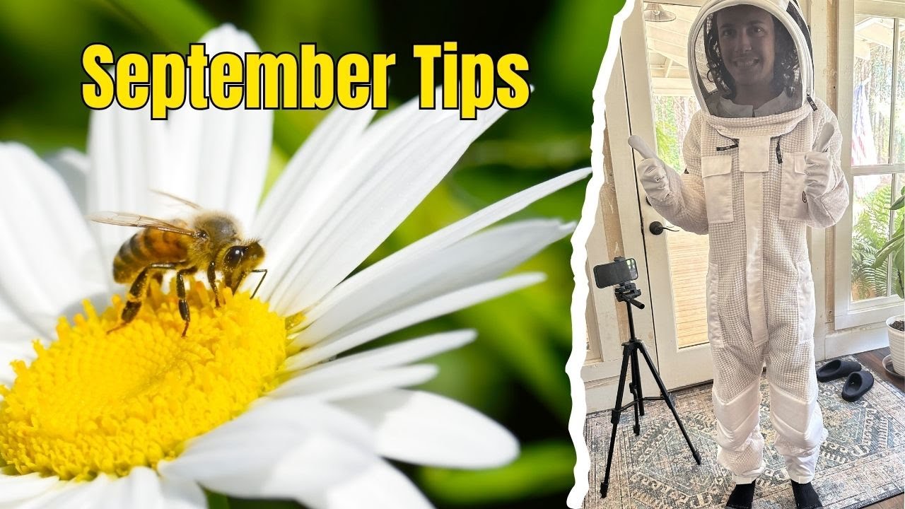 WILDWOODS BEEKEEPING CHAT - Getting Ready for September | Fall Prep & Apiary Tips - YouTube