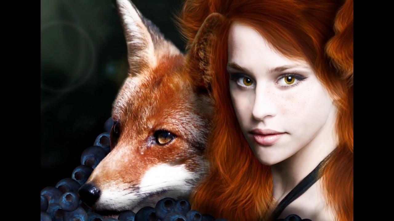 The Wily Fox - YouTube