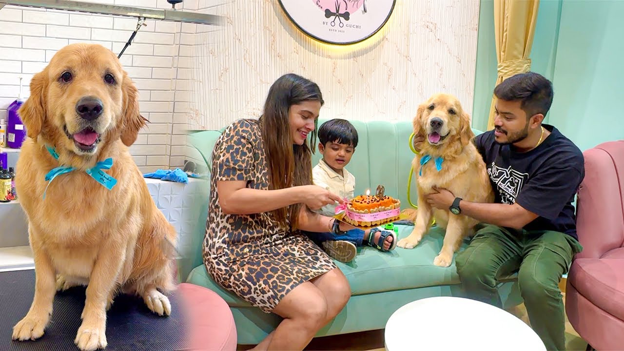 He Turns 4 🥳😍 Birthday Vlog ️ - YouTube